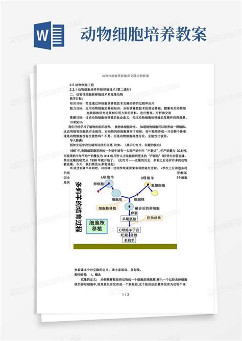 动物体细胞核移植和克隆动物教案Word模板下载 熊猫办公