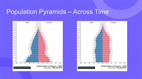 Population Structure Ppt Free Download