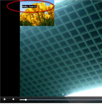First Subtitle 0 00 Is At The Top Center Of Player And Disappear On