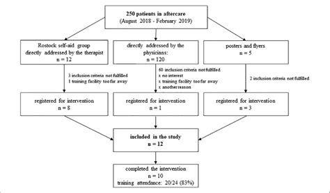 Flow Chart Of The Pilot Study X N Not Indicated Download Scientific Diagram