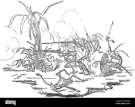 Grasshopper Army With Rifle In Attack Parable About Human Life Depicted In Caricatures Of The