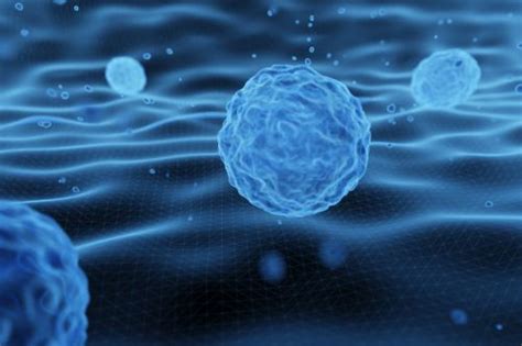 한국 최고의 줄기세포 치료 클리닉 5곳 Ivisitkorea