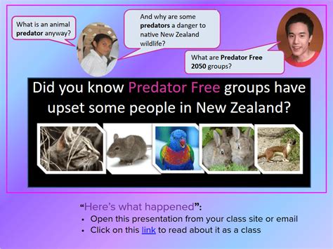 Online Argumentation Developing In Digital Worlds