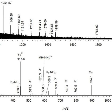 A Maldi Ms Spectrum Of The Wooden Statue Historical Sample B Tandem Download Scientific