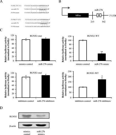 Mir 27b Attenuates Apoptosis Induced By Transmissible Gastroenteritis