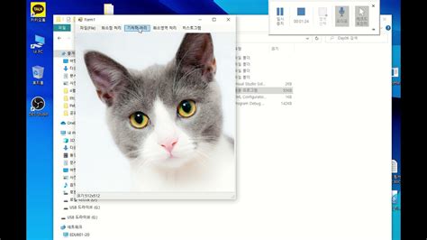 C활용 Winform 영상처리 프로그래밍 동작영상 Youtube