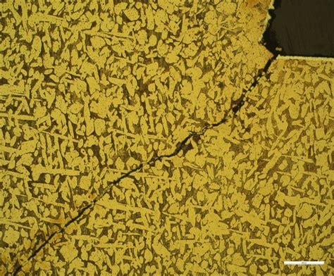 Farshad Ghadimi On Linkedin Metallurgy Metallurgy Microstructure Microstructure Phosphorbronze…
