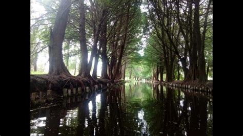 Puentes De Colores Okon Ft Lsdyan Cocuz Cr Angel Cr Beats Frank Coka Youtube