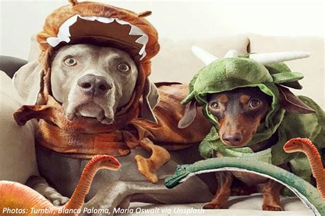 Dinosaur Dogs Bedtime Math