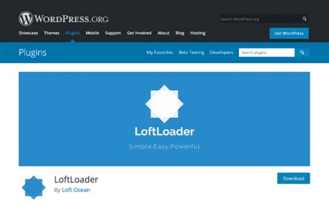 Add A Loading Animation To Your WordPress Website Different Options