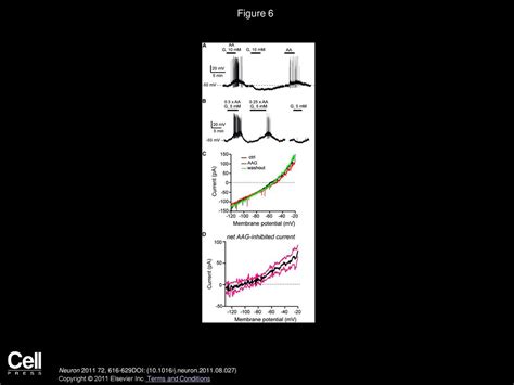 Activation Of Central Orexinhypocretin Neurons By Dietary Amino Acids