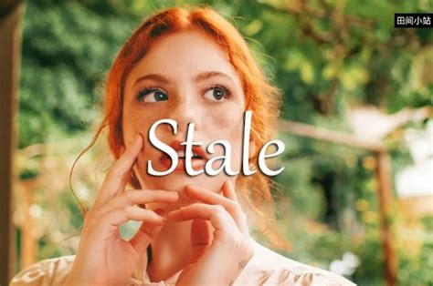 小词详解 Stale 英文之旅