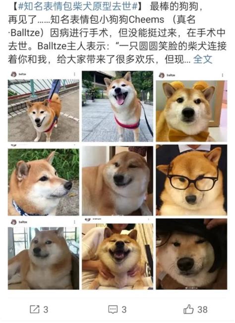 突发！确认手术中去世，粉丝遍布全球澎湃号·媒体澎湃新闻 The Paper