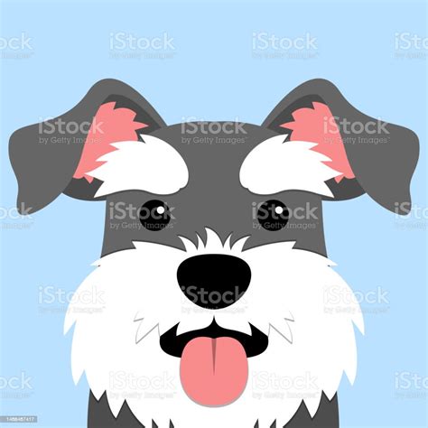 귀여운 미니어처 슈나우저 강아지 평면 디자인 벡터 일러스트 레이 션 드로잉에 대한 스톡 벡터 아트 및 기타 이미지 드로잉 슈나우저 가축 Istock