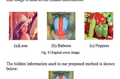 Figure 8 From A New Approach For Lsb Based Image Steganography Using Secret Key Semantic Scholar