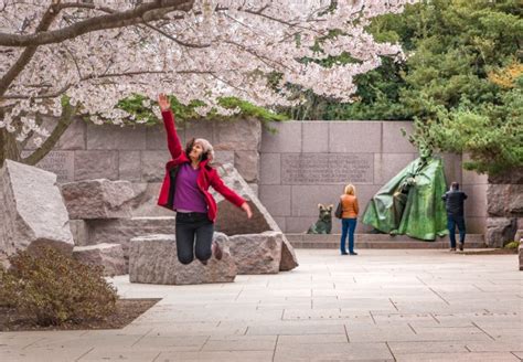 Best Spots For Cherry Blossoms In Dc Hidden Gems And Favorites