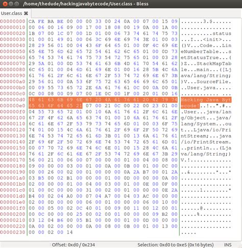 Hacking Java Bytecode For Programmers Part2 Lions And Tigers And