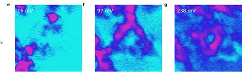 Topological States In Non Integer Dimension Research Communities By