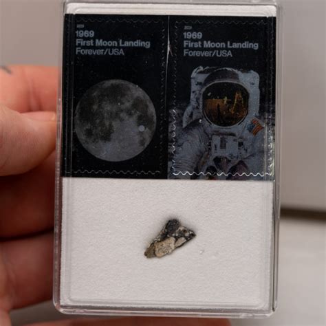 Moon Meteorite Fragment With Collectable Case 2 The Crystal Council