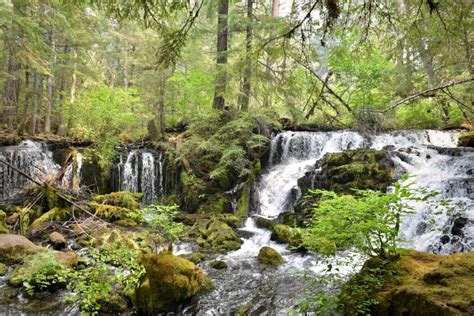 Epic Day Trips Around Grants Pass Visitgrantspass