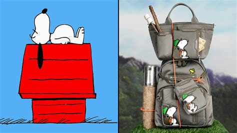 Microsoft 365 Agents Toolkit Teams Toolkit Rebranded Archyde