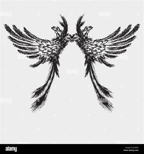 Wings Vector Illustration Stock Vector Image And Art Alamy