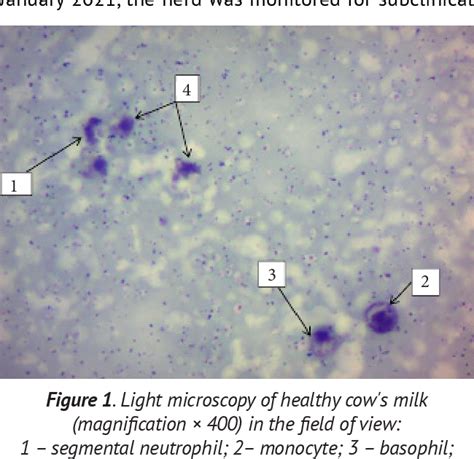 Figure 1 From Treatment Of Subclinical Mastitis Of Cows With Probiotics Semantic Scholar