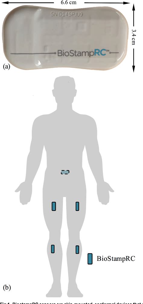 Figure 1 From A Machine Learning Approach For Gait Speed Estimation Using Skin Mounted Wearable