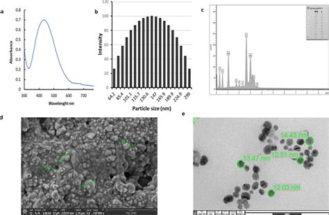 Characterization Of Biogenic Silver Nanoparticles Using Uv Visible