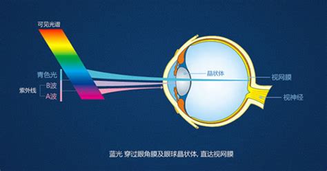 科普：蓝光的危害以及防蓝光眼镜原理 知乎