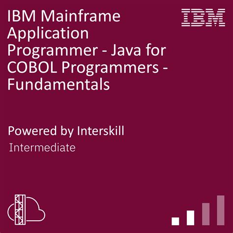 Interskill Ibm Mainframe Application Programmer Java For Cobol