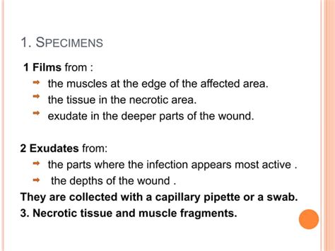 Clostidium Perfringens Ppt