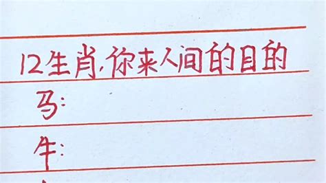 十二生肖，你来人间的目的 Youtube