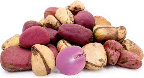Top 7 Traditional Uses Of Kolanut Global Agric Sourcing Solutions For