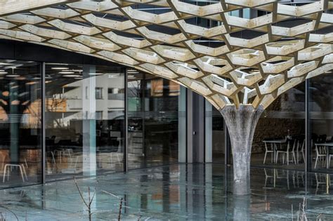 Gramazio Kohler Research Eth Zurich Plants Future Tree In Swiss Courtyard