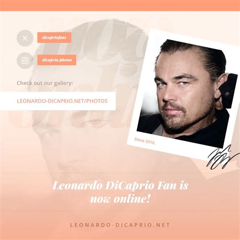 Leonardo Dicaprio Fan Dicapriophotos • Instagram Photos And Videos