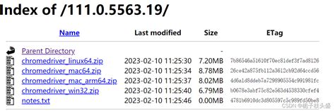 python爬虫学习日志 使用selenium爬取动态网页数据 selenium为什么能爬取动态网页 csdn博客
