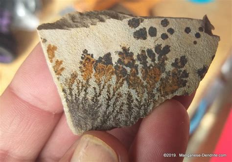 Where To Find Manganese Dendrites Manganese Dendrite