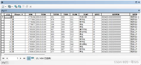 【arcgis遇上python】arcgis Python批量筛选多个shp中指定字段值的图斑（以土地利用数据为例）arcgis批量选择图斑 Csdn博客