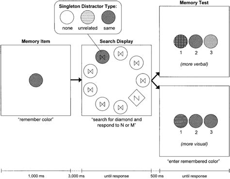 Schematic Representation Of The Stimuli And Procedure Of Experiment 2