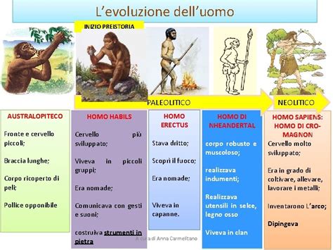 Percorso Di Storia Levoluzione Delluomo Classi Terze Scuola