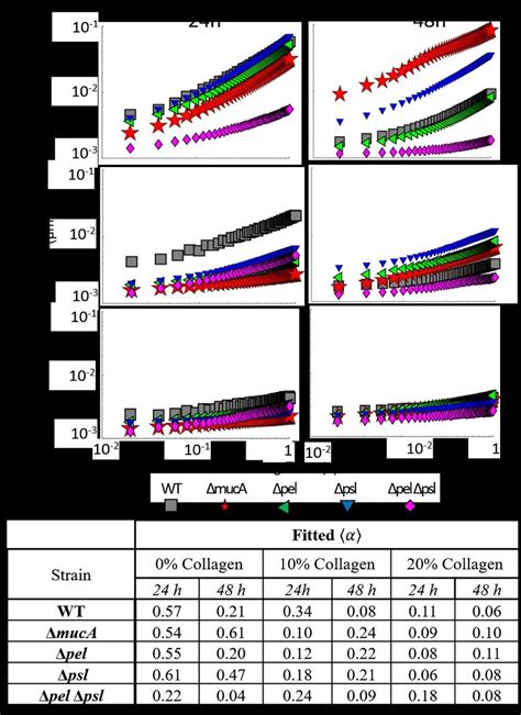 Ensemble Mean Squared Displacement As A Function Of Lag Time For All Wt Download Scientific