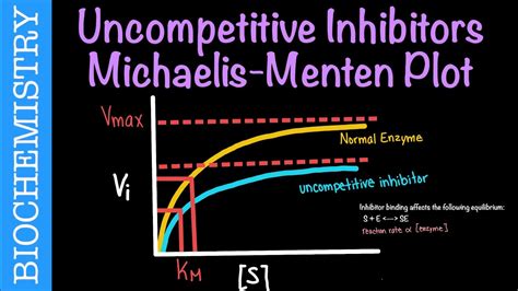 Uncompetitive Inhibitors Michaelis Menten Plot Part 2 Biochemistry