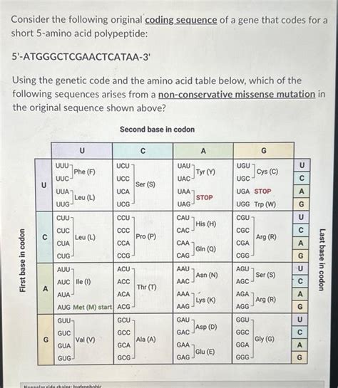 Solved Consider The Following Original Coding Sequence Of A