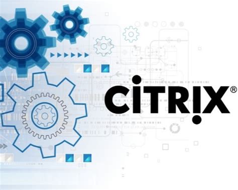 Automating Citrix Adc Netscaler Virtual Server Monitoring End To End With Nitro Api