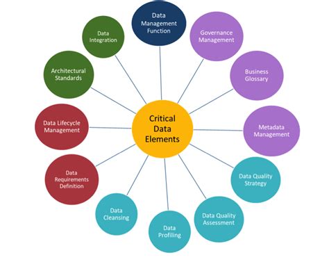 Data Professional Introspective Know Thy Enterprise Data