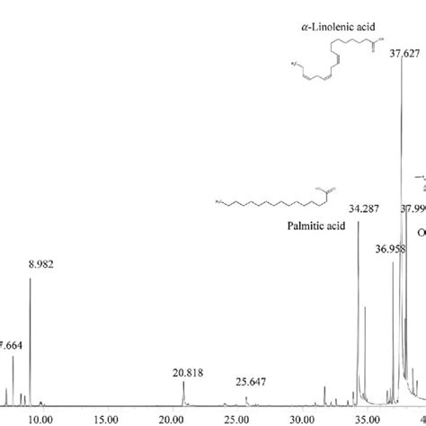 The Gc Ms Chromatogram Of Bioactive Compounds In The H Fraction Of H Download Scientific