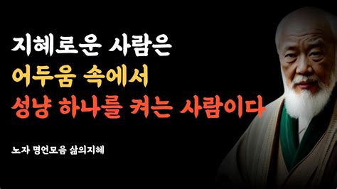 노자에게서 배우는 삶의 지혜 현명한 사람의 태도 명언모음 조언 격언 오디오북 철학 수면영상 Youtube