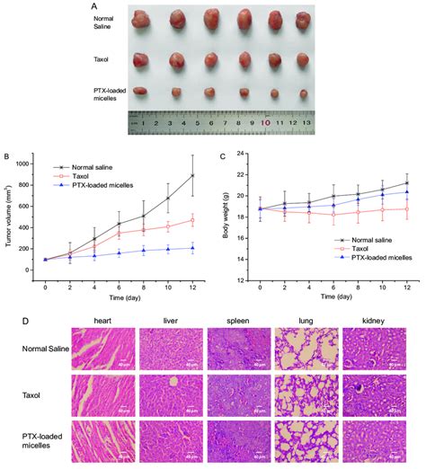 In Vivo Tumor Growth Suppression Effect And Systemic Toxicity Of