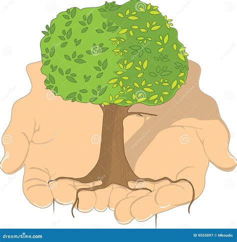 Hands Tree Root Royalty Free Stock Image CartoonDealer Com 71438932